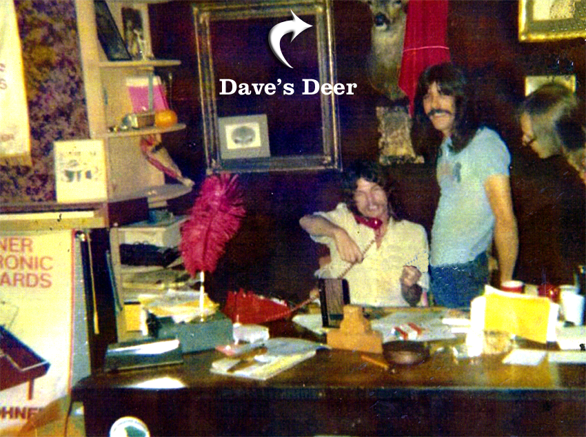 Almanac Music: Dave Kimber – Herb Alpert, Buffy St Marie, and deer antlers!