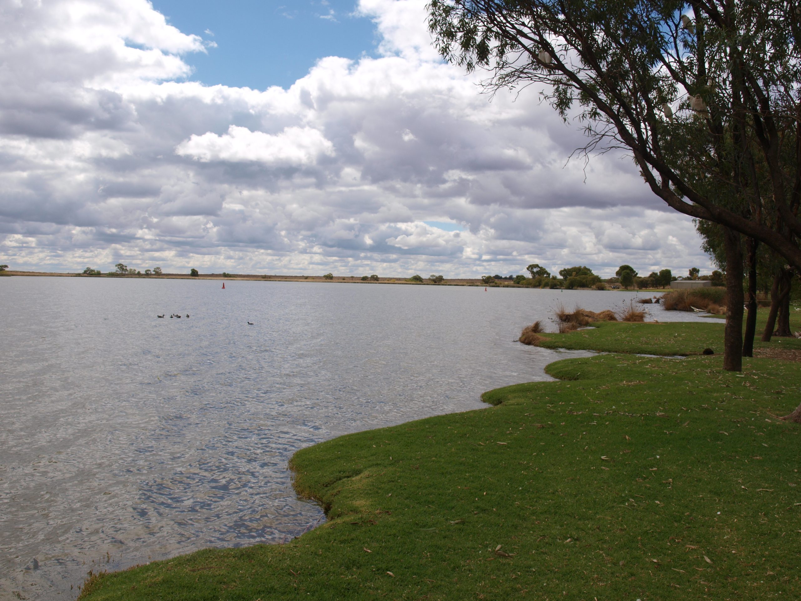 Up the Mighty Murray! – Episode 7: A Mega Day of football and netball ...