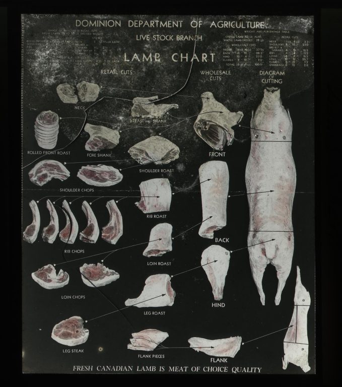 Almanac Memoir: A Whole Sheep or a Half-Sheep (Cut and Packed)