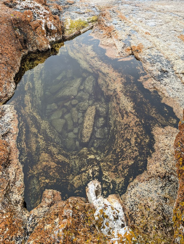 Almanac Life: Only in Tasmania