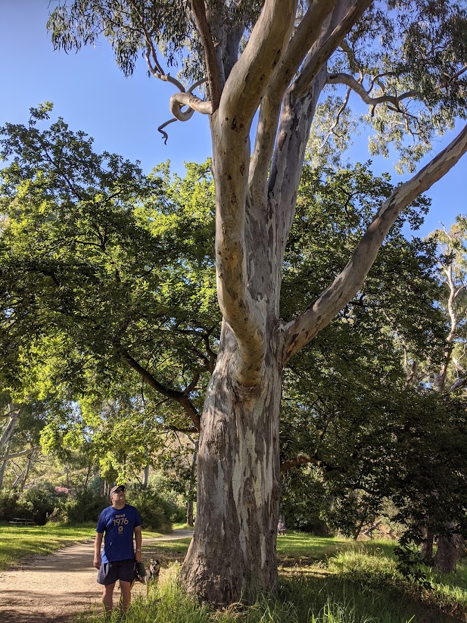 Ancient Bushland on Melbourne’s Doorstep